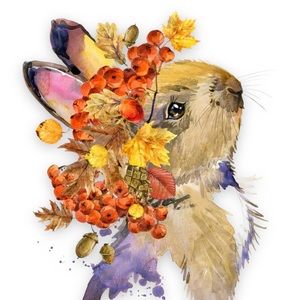 Other | Bundles Save On Shipping | Poshmark